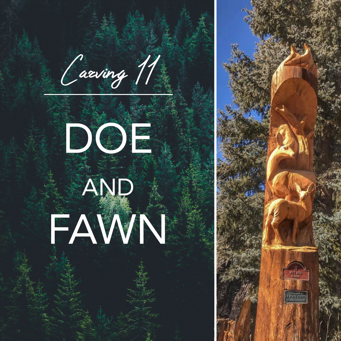 Carving 11 | Tour of Carvings | Vallecito Lake, Colorado