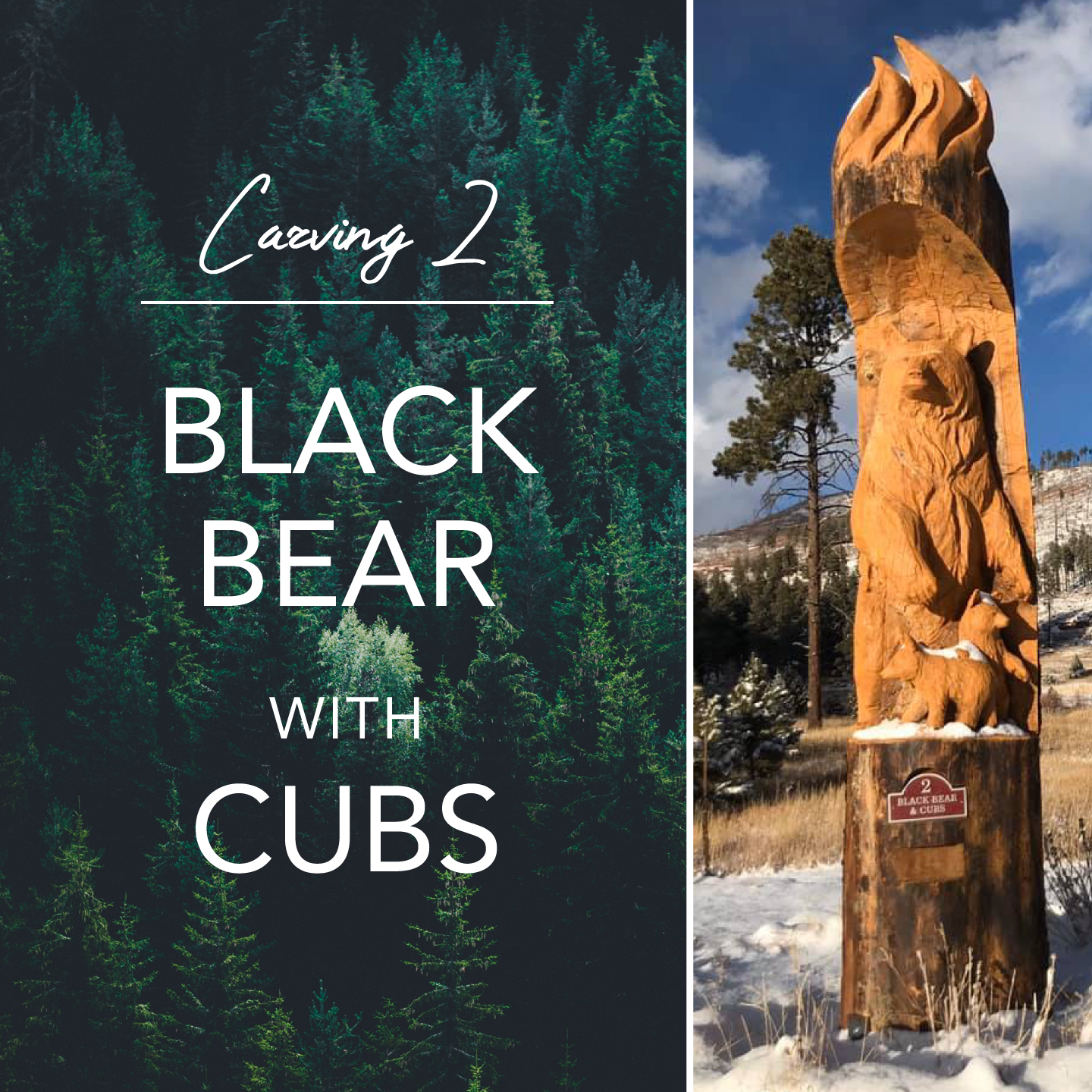 Carving 2 | Tour of Carvings | Vallecito Lake, Colorado