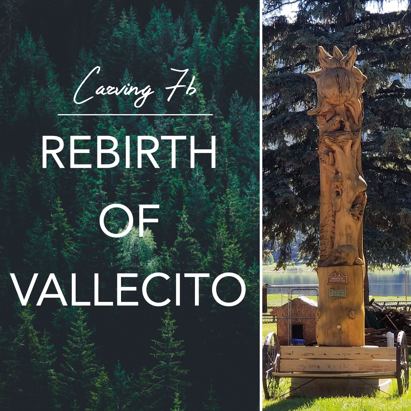 Carving 7b | Tour of Carvings | Vallecito Lake, Colorado