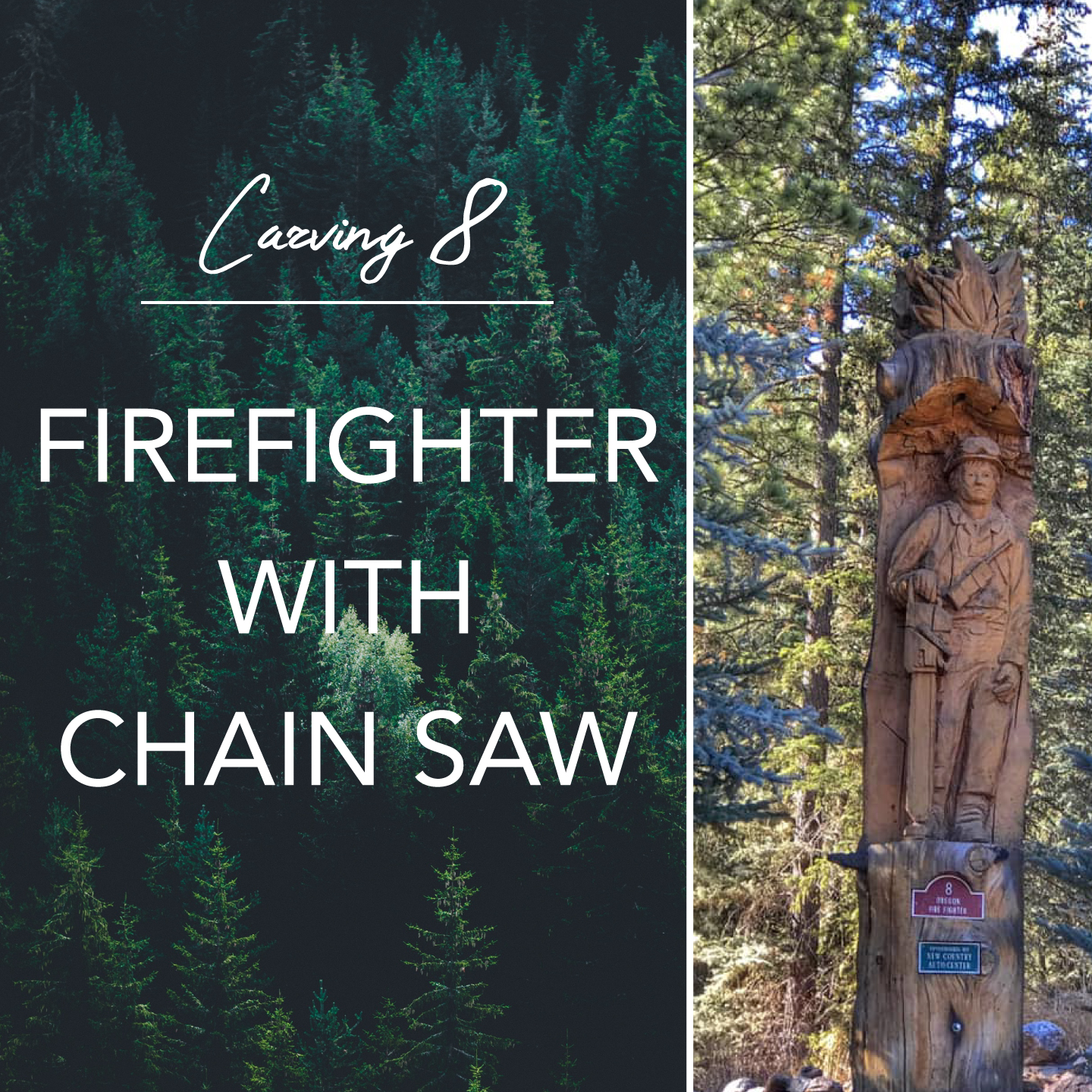 Carving 8 | Tour of Carvings | Vallecito Lake, Colorado